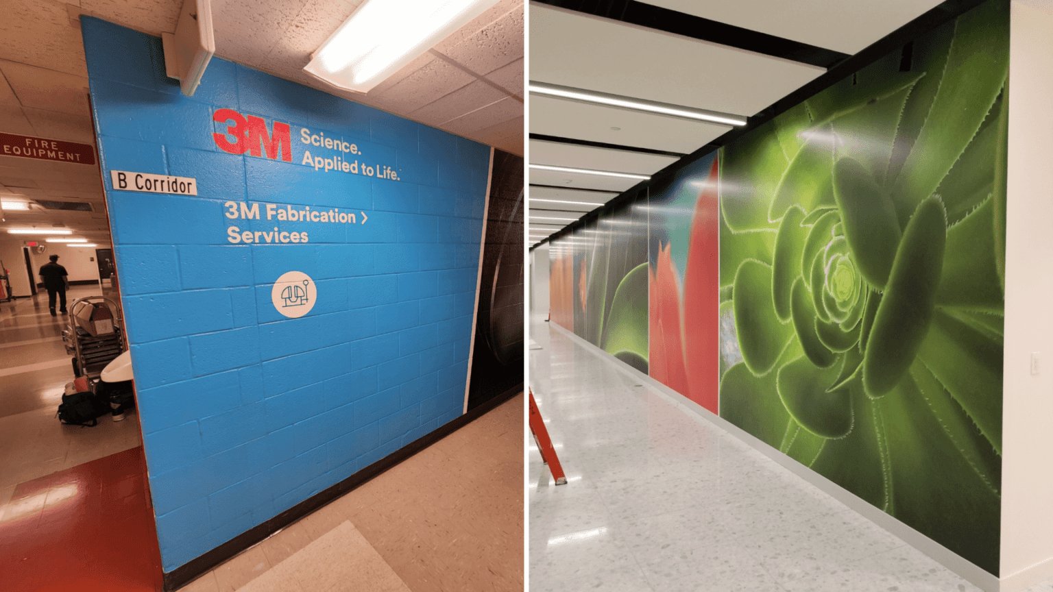 8 Office Wall Covering Ideas That Will Transform Your Workplace | Brand ...